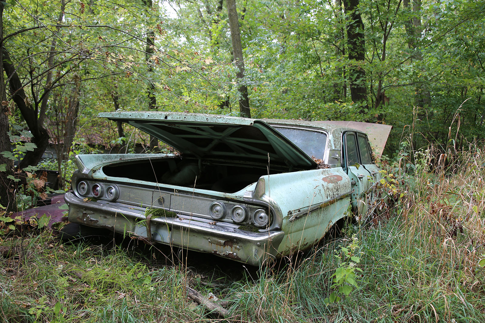 Trésors trouvés chez Ron's Auto Salvage à Allison, dans l'Iowa