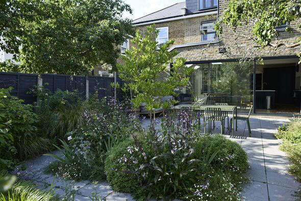 Gardeners urged to plant 5 flowers that rats find ‘repulsive’