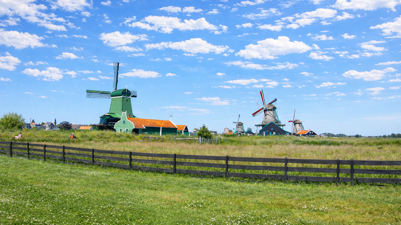 Hollanda'nın tarihi yel değirmenleri etrafında manzaralı yürüyüş (4K)