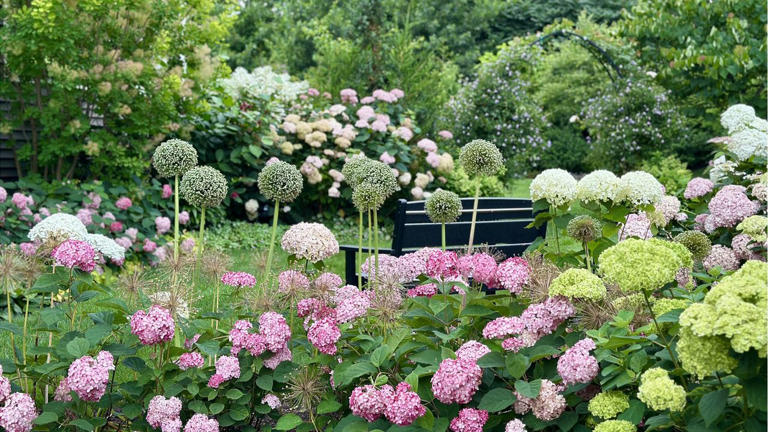 Garden diaries: How Eric and Christopher Feml-Nelsen transformed a ...