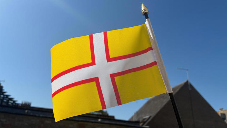 The tricky matter of a South Coast county's flag