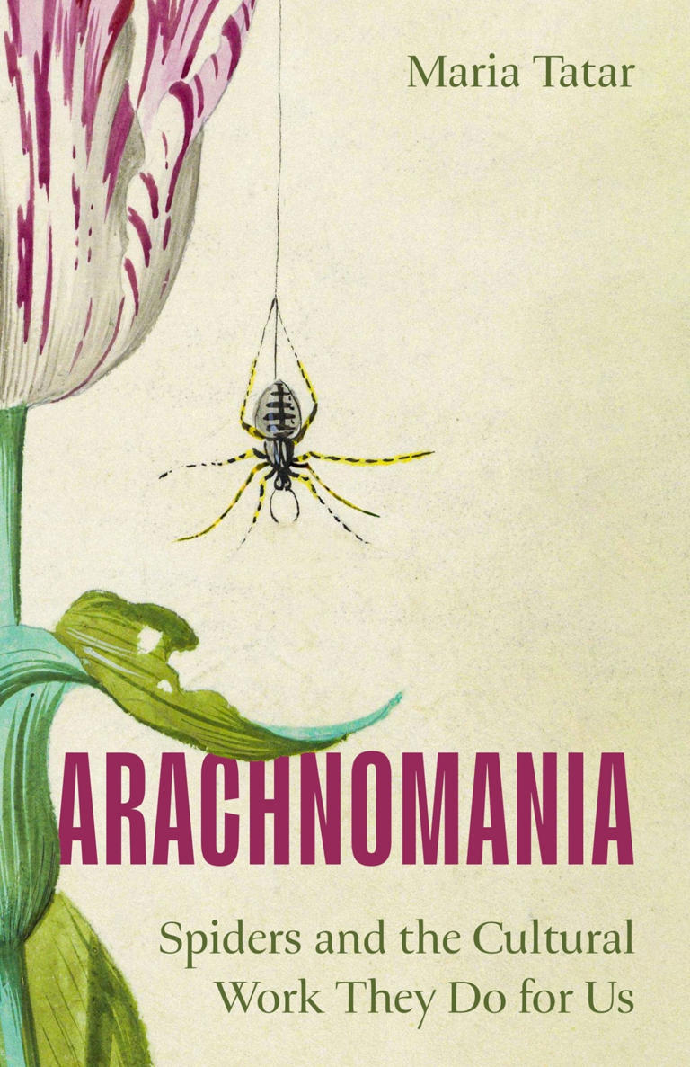 12 books to read: The best reviews of May
