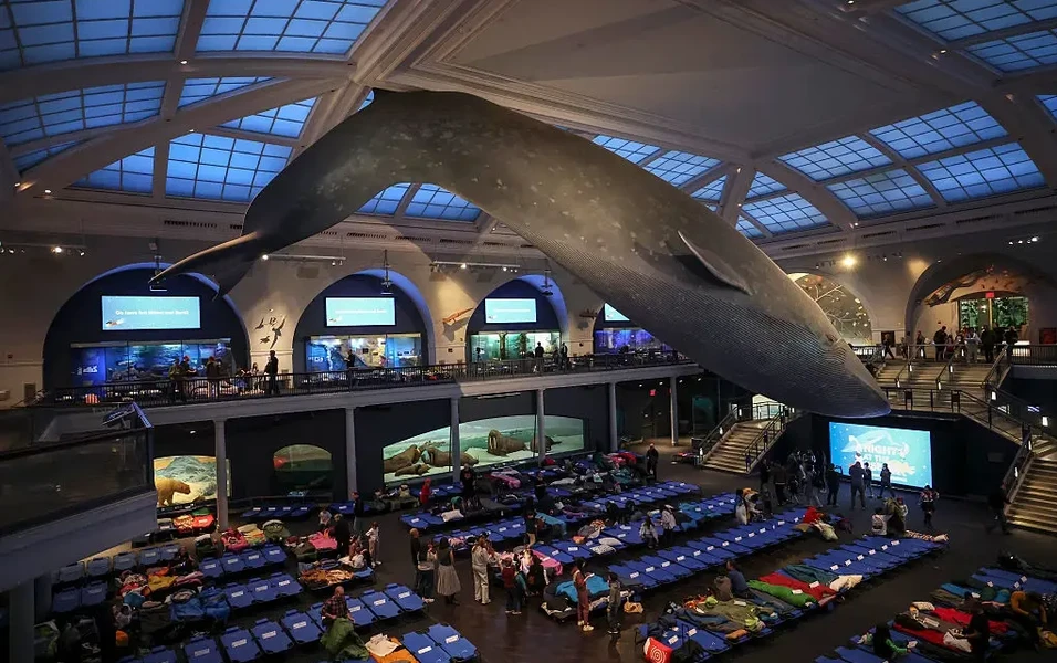 AMNH extends popular sleepover program after post-pandemic return