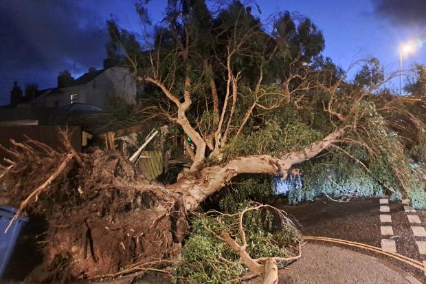 Cowboy roofer jailed for ripping off Porthleven pensioners after Storm ...