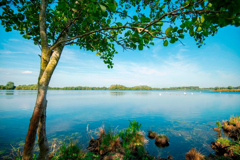 The former Cambridgeshire quarry now transformed into a haven for wildlife