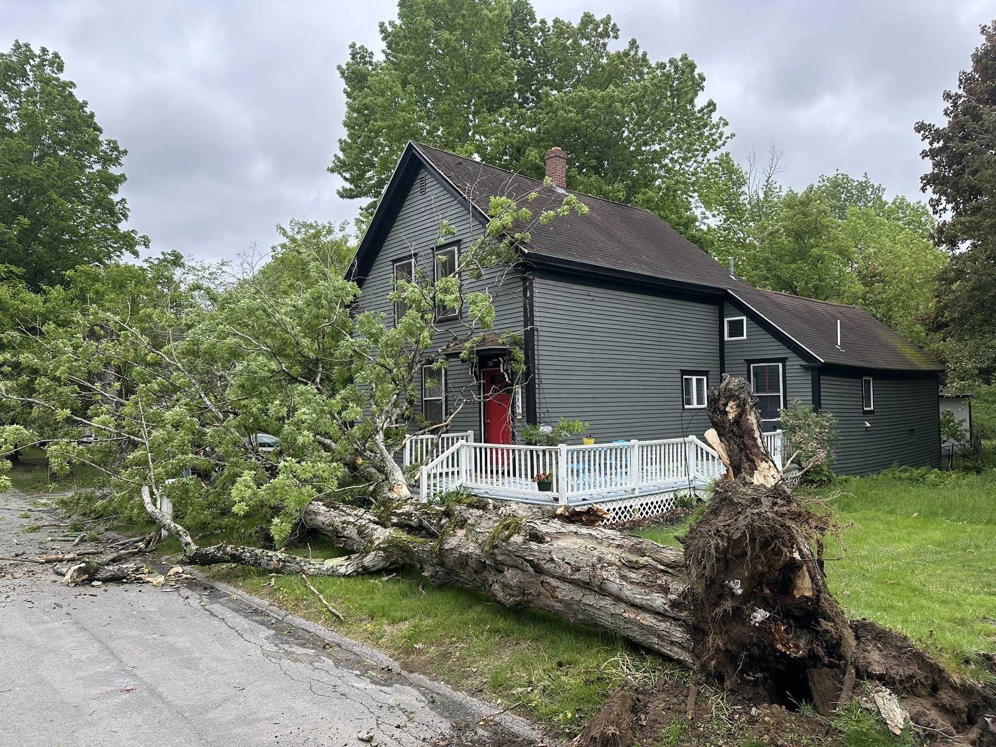 Fallen oak tree closes Main Street, narrowly misses home in Monmouth