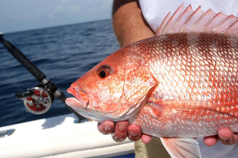 These 10 states are the best places to fish in 2026, finds a new report