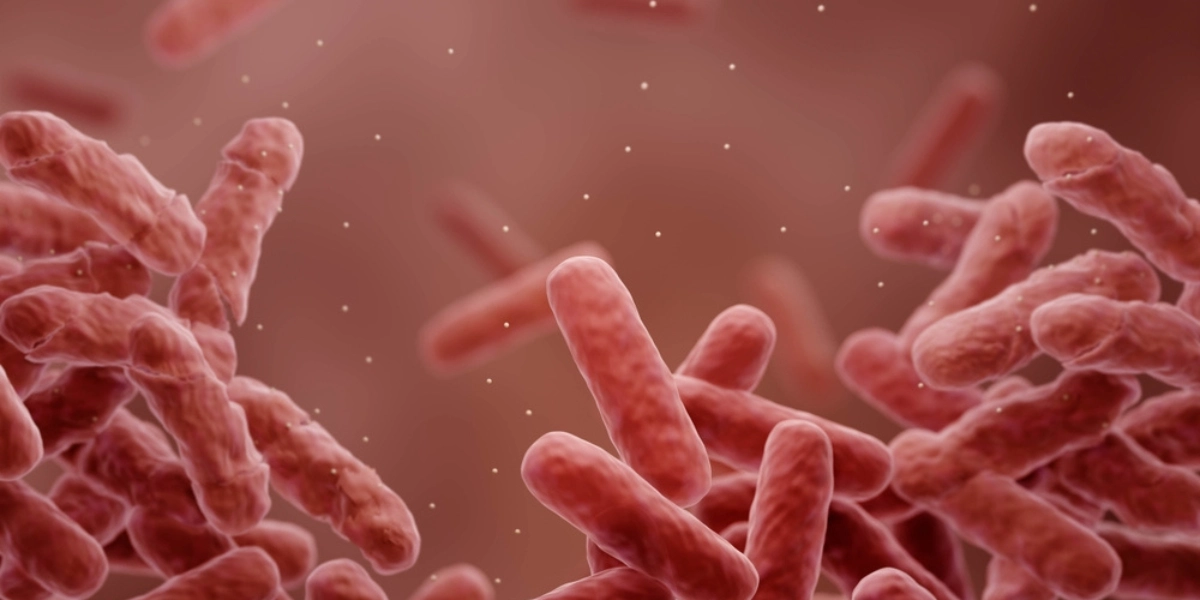 A study finds that global warming is accelerating dangerous drug ...