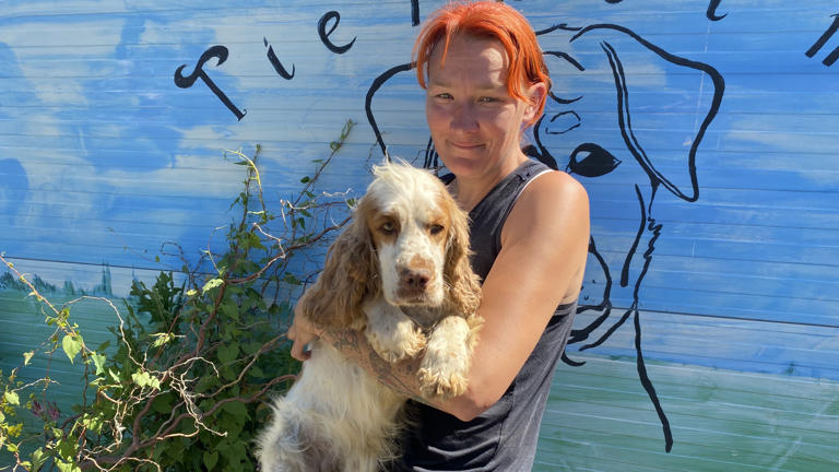 Hund Lotta gerettet: Süßer Cocker Spaniel wartet im Tierheim auf neues ...
