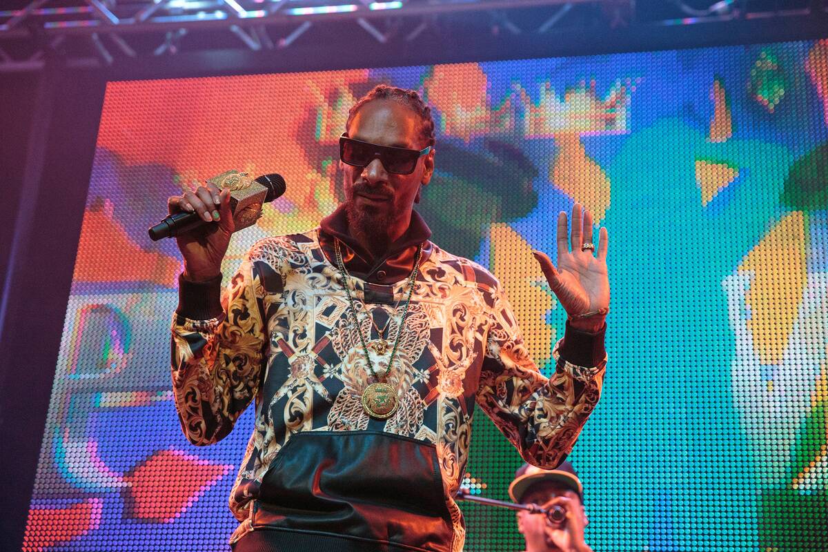 Snoop Dogg's journey from rapper to household name