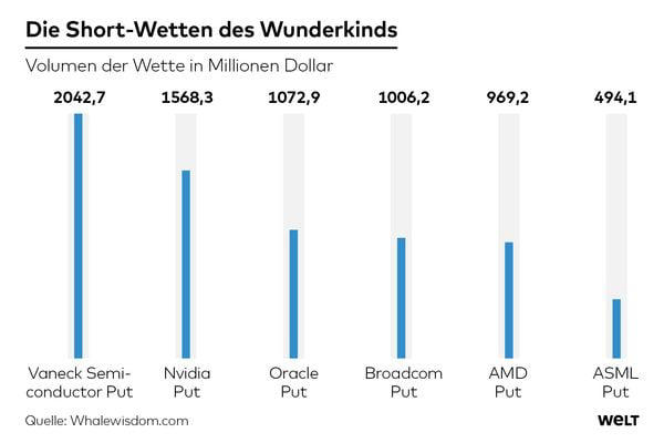 Nebius-Aktie explodiert: Wie Leopold Aschenbrenners Strategie die KI ...