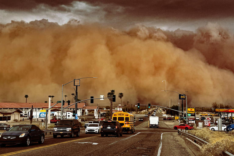 Apocalyptic fungal storms are now surging across the US