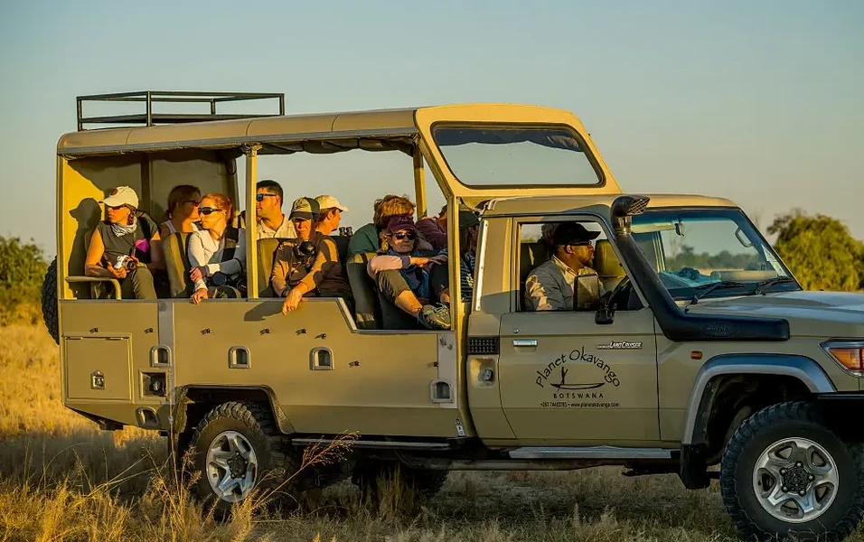 How to plan your dream African safari trip