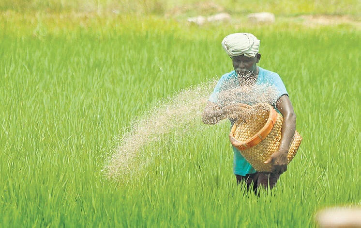 Farmers flay TN’s crop loan waiver announcement, walk out of meet