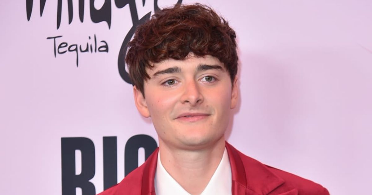 Noah Schnapp says Will Byers’ story prepared him for coming out: 'It ...