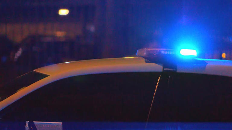 One injured in Gulfport after car and train collide
