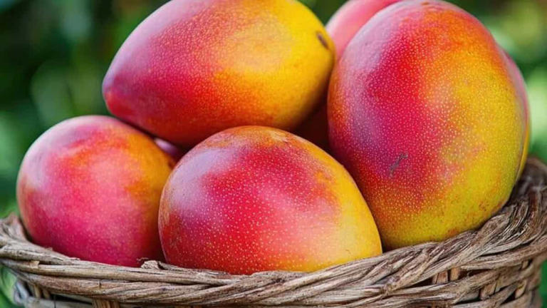 How to ripen mangoes naturally at home without carbide