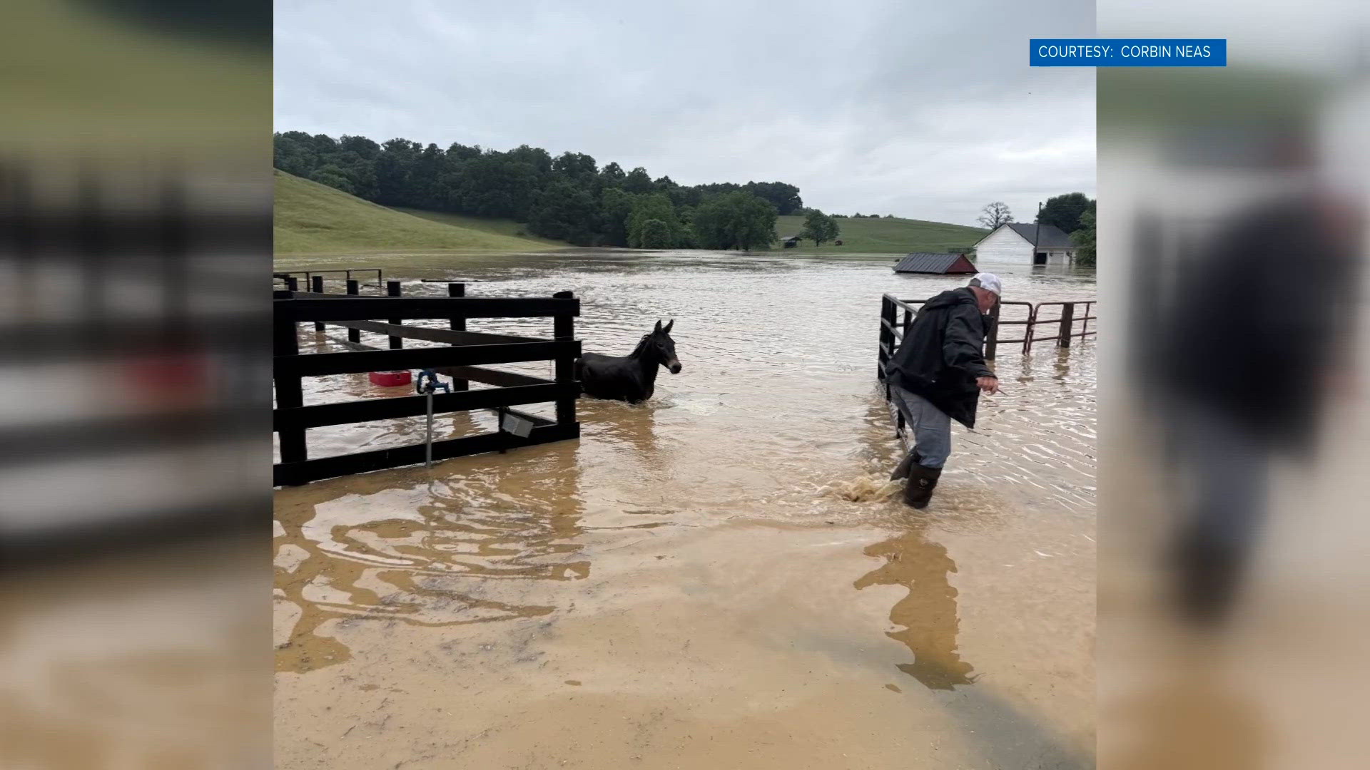 Cocke County family sees damage to second farm in two years