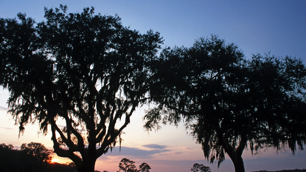 Slow road-tripping through the Florida Keys