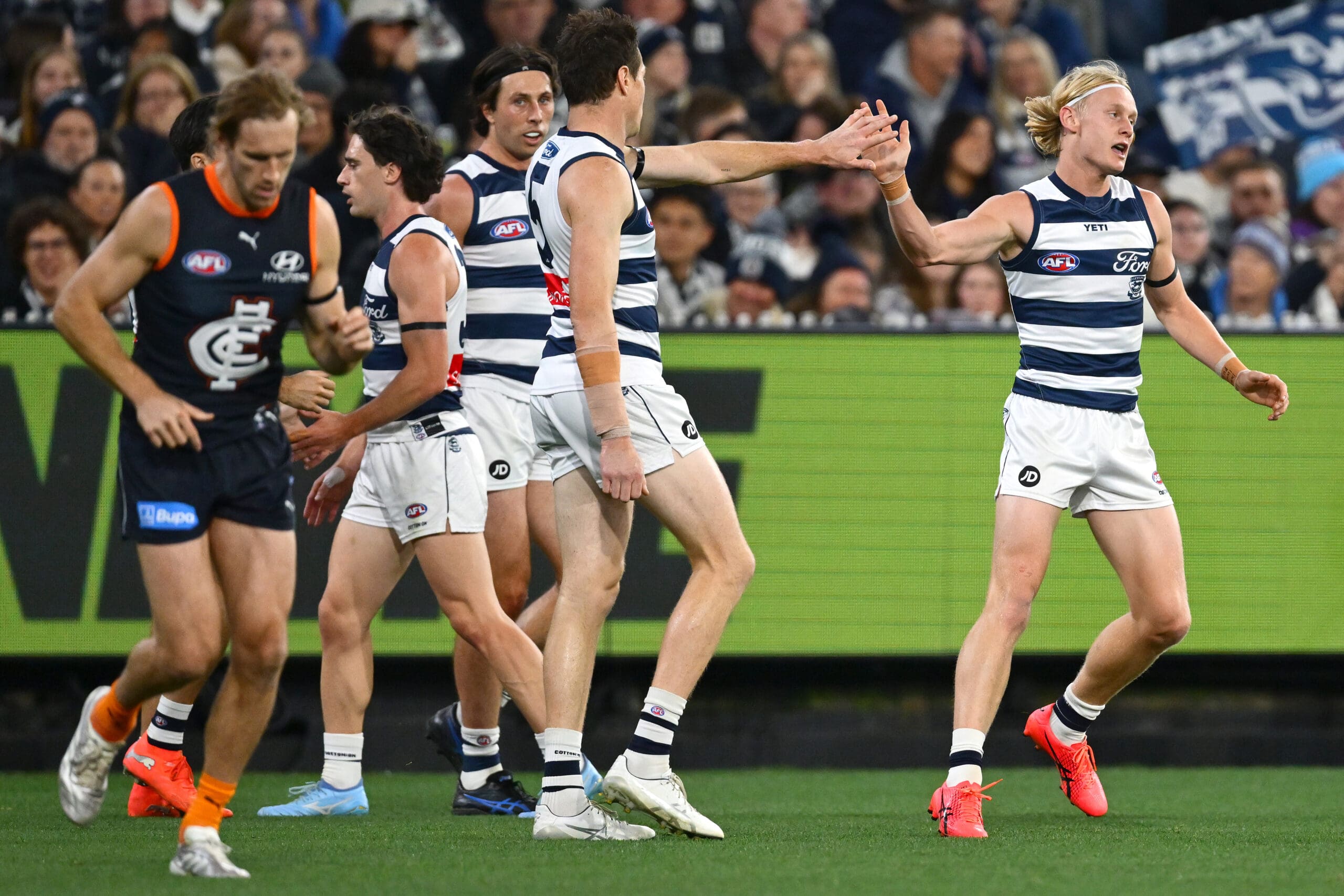 Geelong mastermind left bemused by latest costly ARC howler