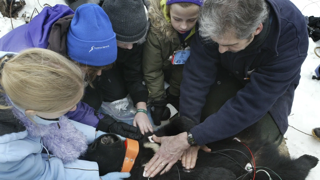 Study shows human presence alters behavior of most wildlife species