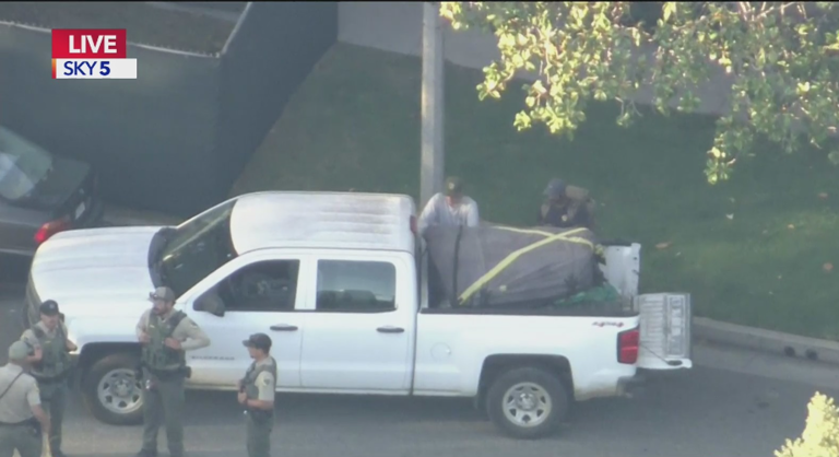 Mountain lion safely tranquilized in Santa Monica, police say