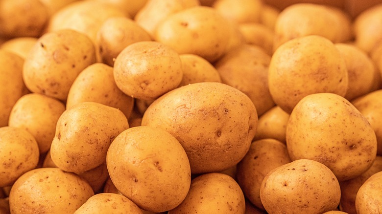 12 different types of potatoes, explained