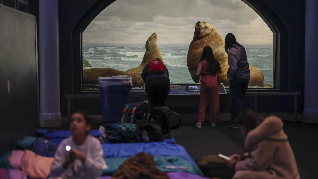 AMNH extends popular sleepover program after post-pandemic return