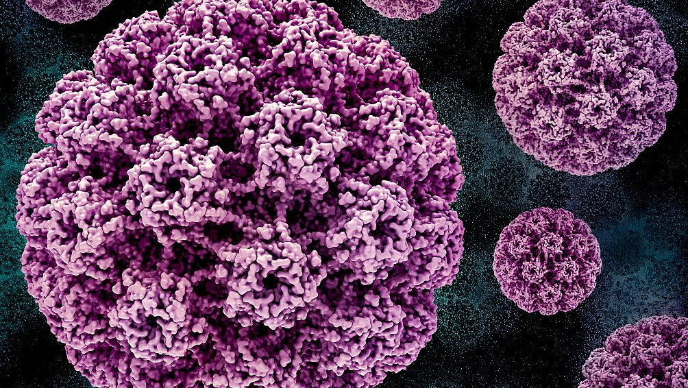 HPV truths and wart care made simple