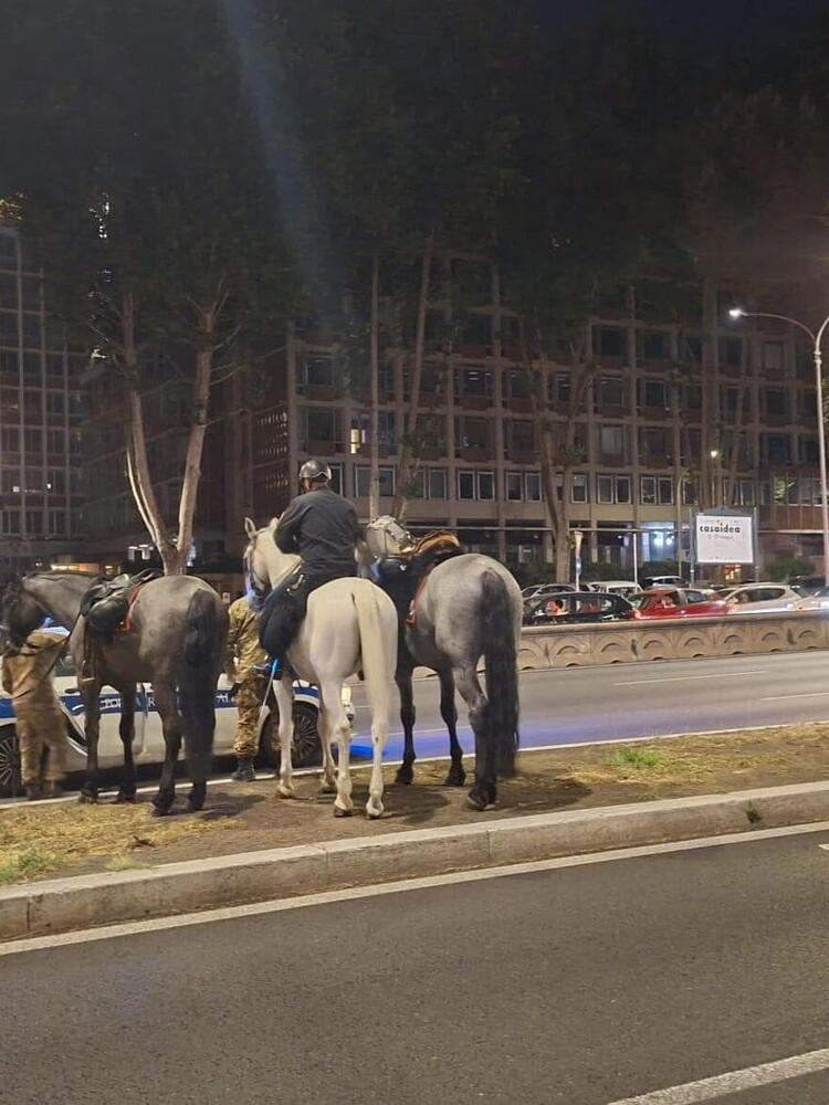 Scappano i cavalli della parata del 2 giugno (video)