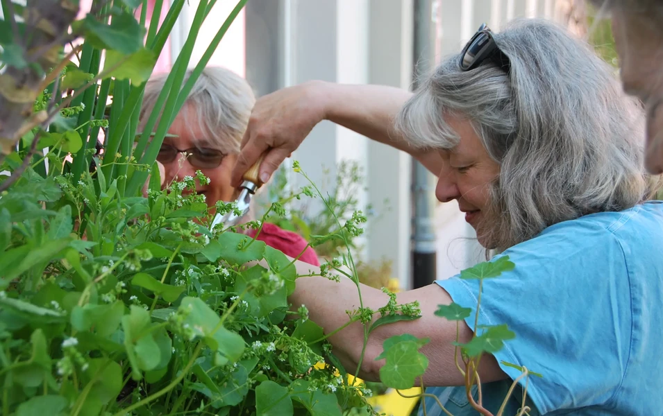Smart gardening tips to grow more for less