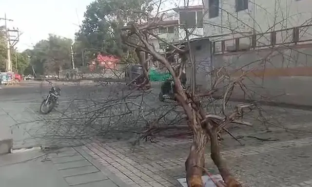 Chikkamagaluru: Heavy rain and strong winds cause widespread damage