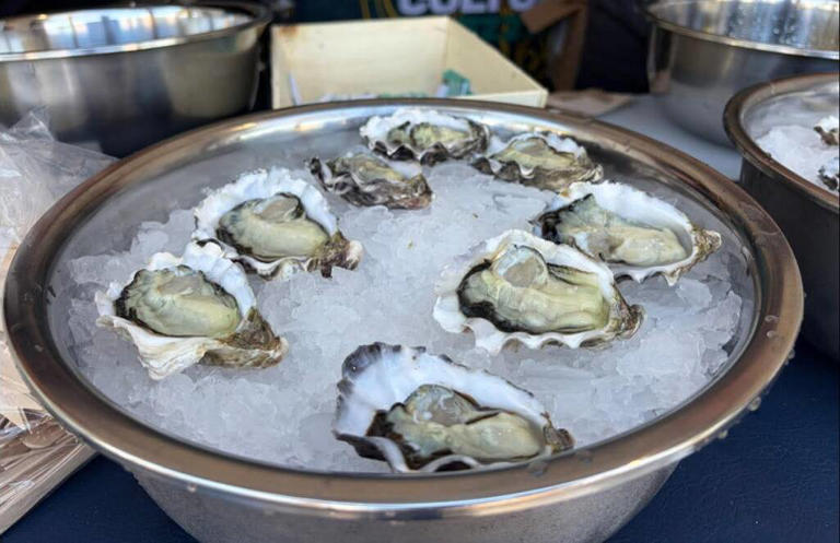Italian Oyster Fest va in archvio, gli organizzatori: “Aperte oltre 20 ...