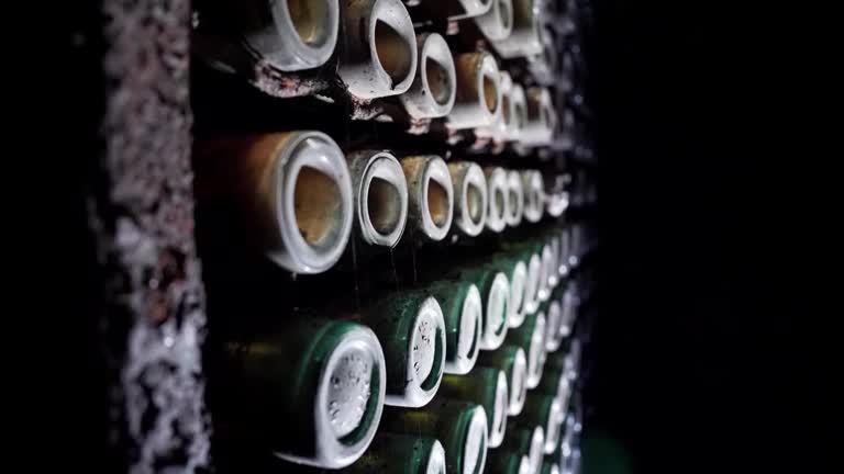 Georgia opens up Stalin's 40,000 bottle wine collection