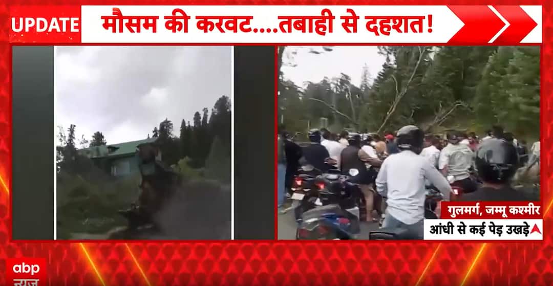 J&K weather alert: Storm uproots trees in Gulmarg, massive fire engulfs ...