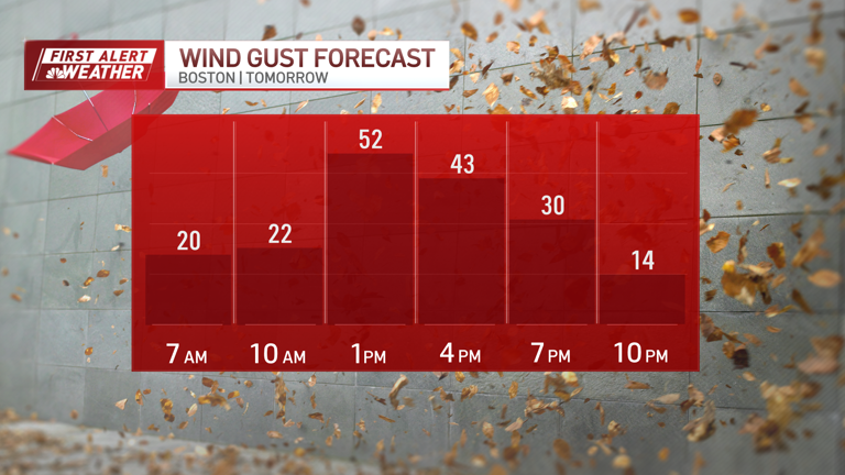 First alert: Winds could gust close to 60 mph for some, power outages ...