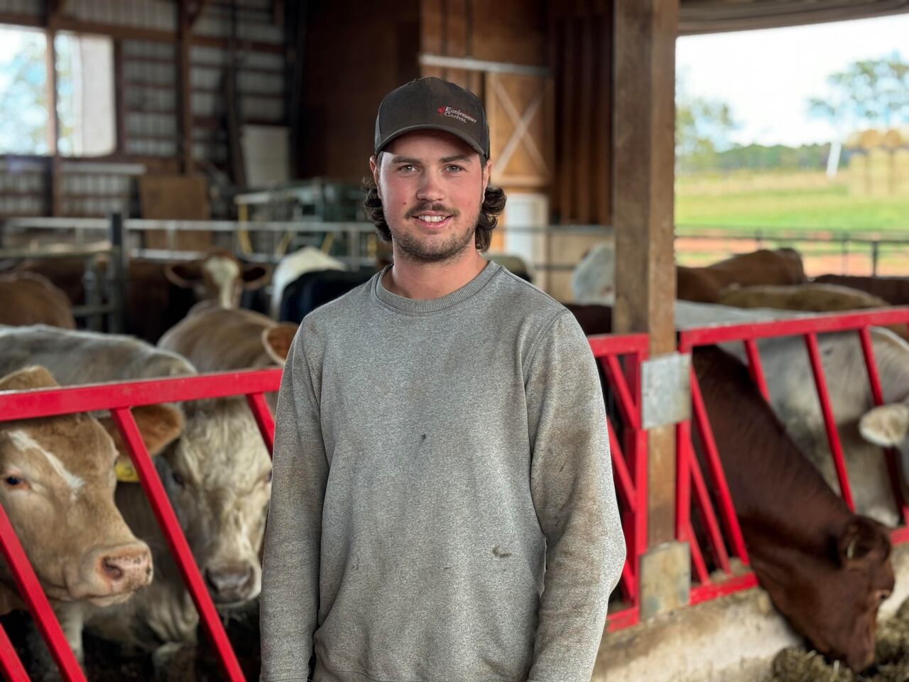 PEI beef farmers riding wave of record-high cattle prices, but trade ...