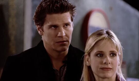 David Boreanaz frustré par Sarah Michelle Gellar : La vraie raison de l ...