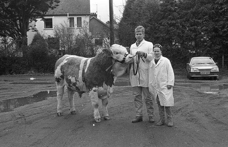 English team win international sheep shearing contest at Balmoral Show ...