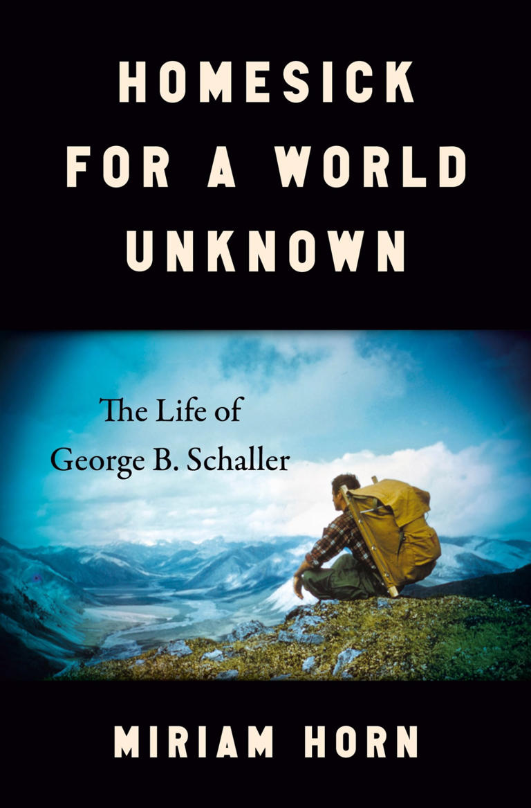 12 books to read: The best reviews of May