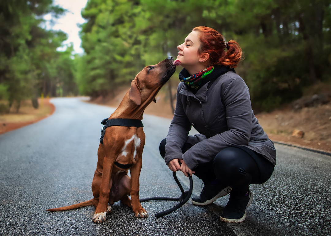 30 most low-maintenance dog breeds for first-time owners, according to ...