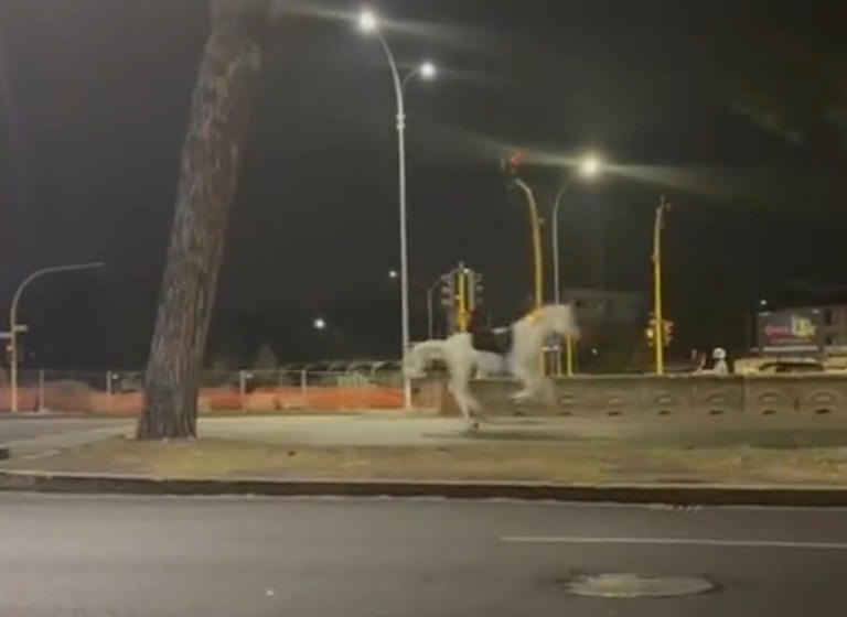 Spaventati dai petardi, i cavalli della parata del 2 giugno in fuga a Roma