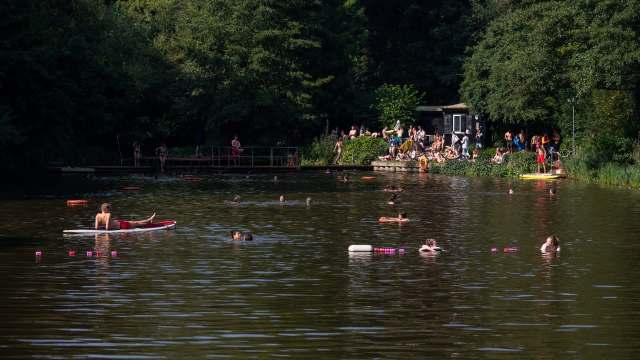 Swimmers spark fury after plunging into protected London pond beside ...