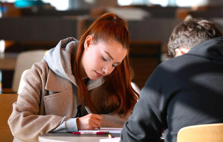 Les spécialités du baccalauréat les plus demandées pour intégrer une ...