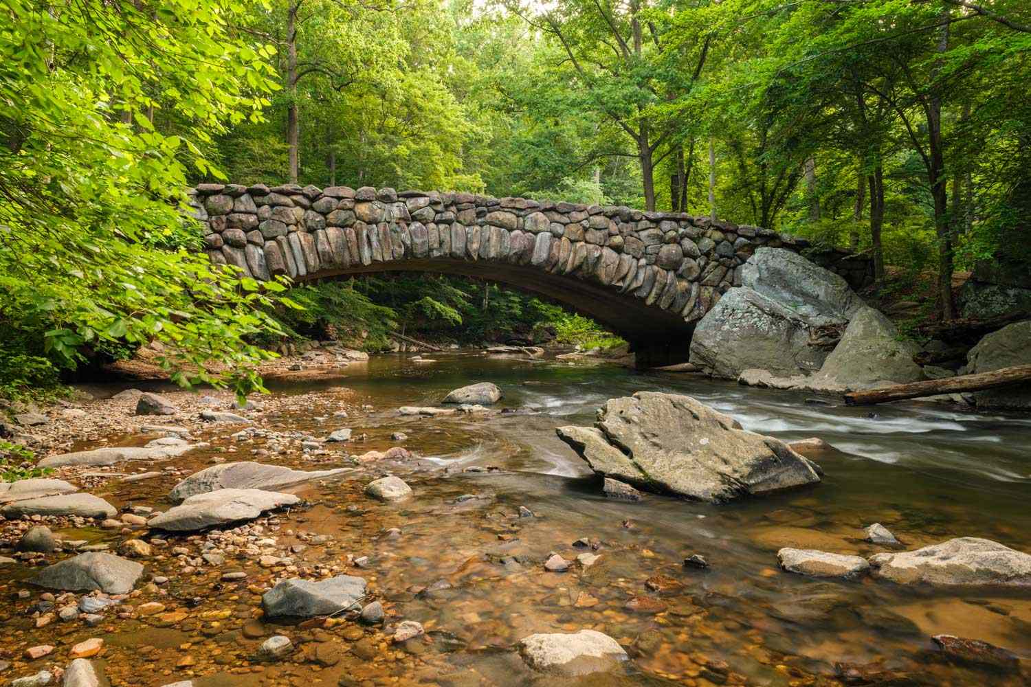 This US city has the best park system, survey finds for the 6th ...