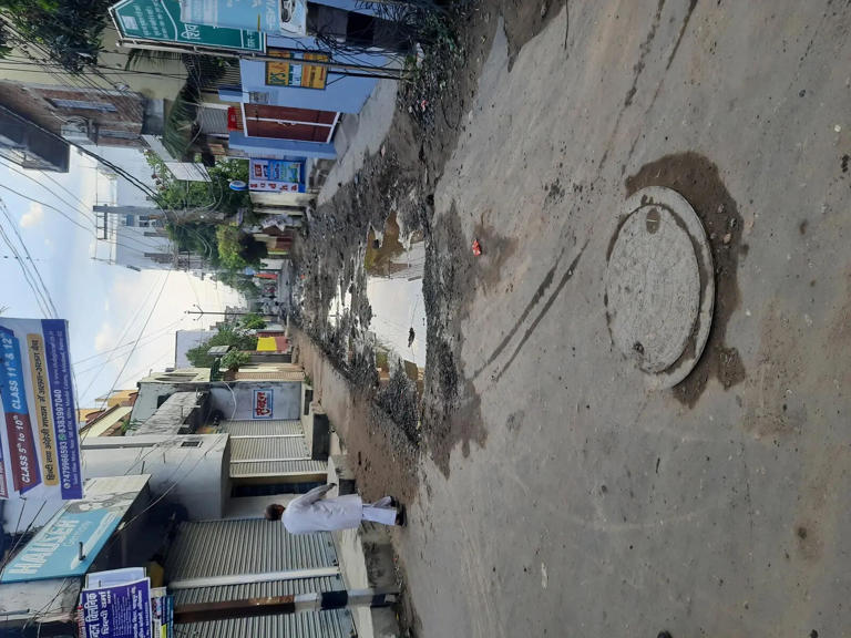 Fallen tree, dug up road cause hardships in Anisabad colony