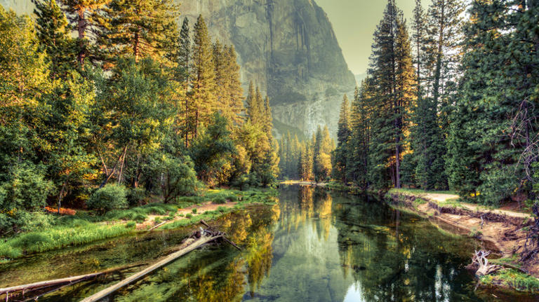 Old smartphones are being used in an unexpected way to protect nature