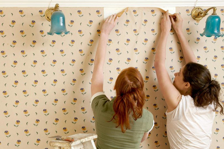Woman strips wallpaper in Scottish property and finds shock of the ...