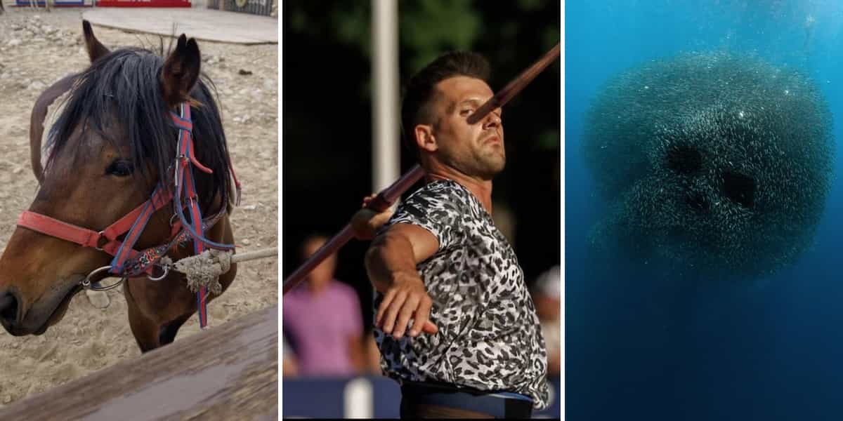 Confusing perspective photos that make your brain glitch