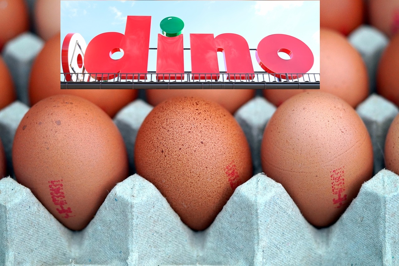 „Trójki” wracają! Sieć Dino znów oferuje jajka klatkowe